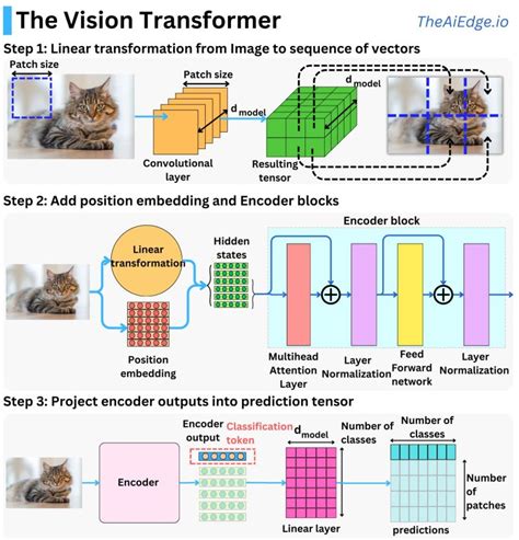 rajeev singh sisodiya on linkedin project name the vision transformer