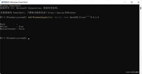 Add Windowscapability请求的操作需要提升——缺少权限add Windowscapability Add