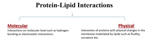 43 Protein Lipid Interactions Physics Libretexts