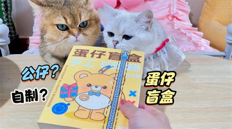 拆自制款蛋仔派对盲盒里面是公仔还是捏捏乐最后成品超可爱 新浪新闻