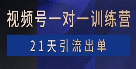 视频号训练营：带货，涨粉，直播，游戏，四大变现新方向，21天引流出单爱课网