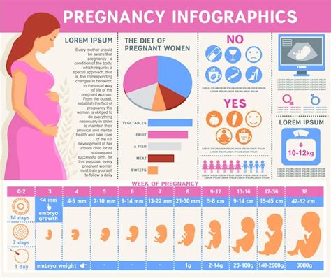 Pregnancy Graphic Vectors And Illustrations For Free Download