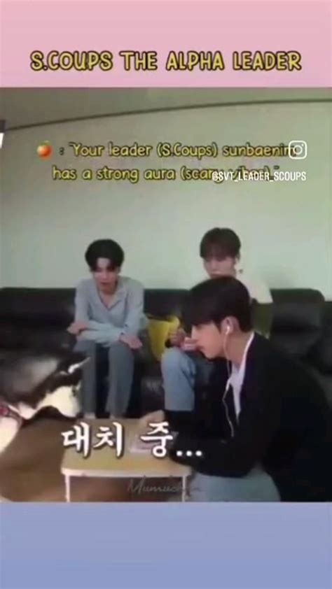 Alpha Leader Scoups Seventeen Kpop Seventeen Scoups Seventeen Going Seventeen