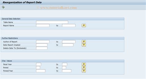 CJEY SAP Tcode Reorganize Report Data