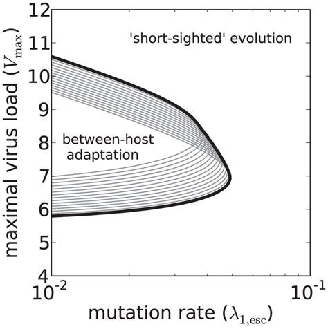 The Bifurcation In The Homogeneous Model For Each A Thin Gray Line