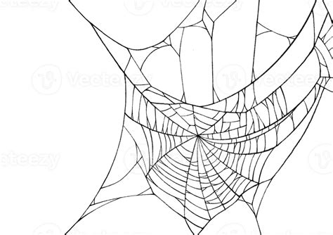 Halloween Spiderweb Background 50238479 Png
