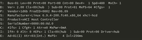 How Do I Check What USB Devices Are Connected On My Linux System