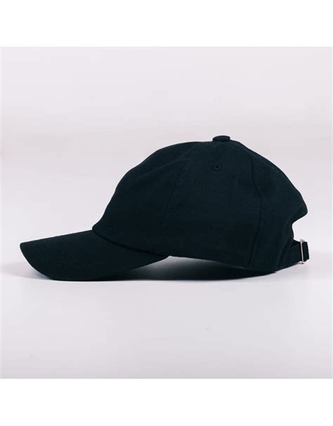 Bone Dad Hat Wings
