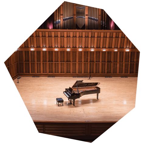 Hexagon Mask Ss7 Olga Kern International Piano Competition OKIPC