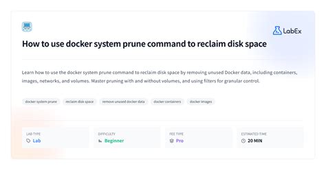how to use docker system prune command to reclaim disk space labex
