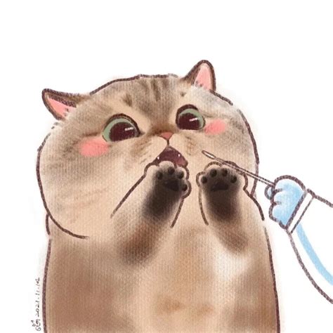 情侣头像 堆糖，美图壁纸兴趣社区