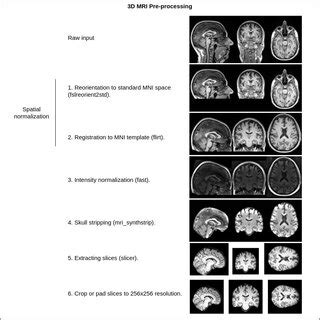 Pdf Improving Structural Mri Preprocessing With Hybrid Transformer Gans