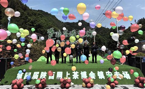 来安去安 小城镇安 第四届陕西网上茶博会镇安专场 搜狐大视野 搜狐新闻