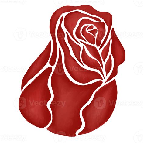 Red Rose Flower Drawing Illustration 13168238 Png