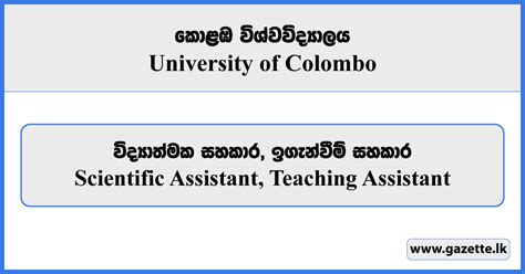 Temporary Scientific Assistant Temporary Teaching Assistant