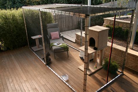 How To Build A Outdoor Cat Enclosure At Gabriel Lomax Blog