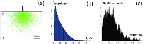 results of numerical modeling of cascade generation of secondary