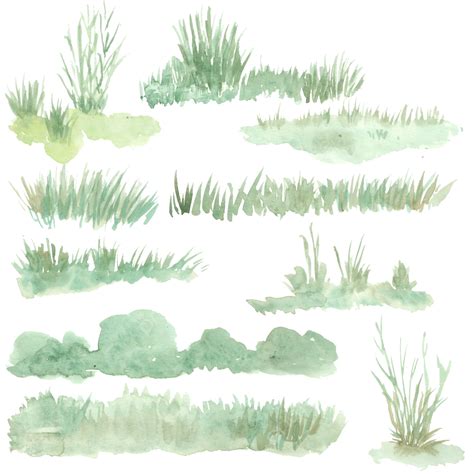 Collection Dherbe Et De Buisson Aquarelle PNG Herbe Vert Buisson