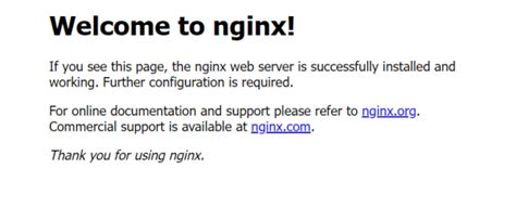 Installieren Und Konfigurieren Nginx