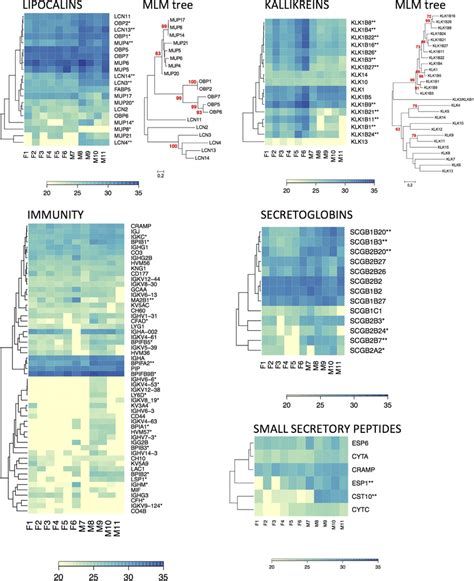 Graphical Representation Of The Protein Abundance Values In Heat Maps