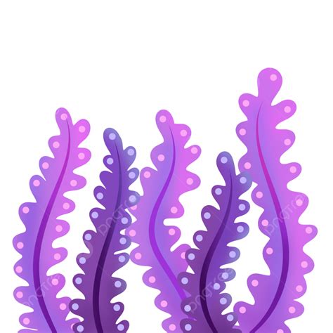 Algas Fundo Do Mar Png Imagem Png Seabed Png Porn Sex Picture
