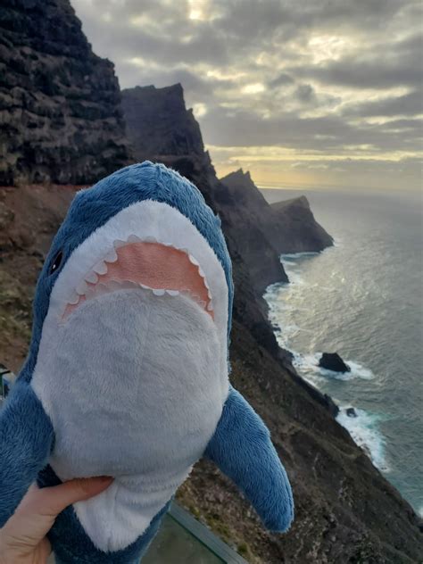 Blahaj On His Many Adventures R Blahaj