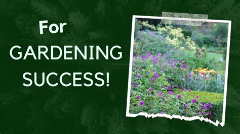Gardening For Beginners Easy Tips And Simple Explanations Youtube