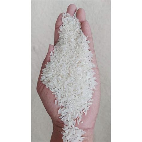 Jual Beras Pulen Cap Raja Lele 10 Kg Shopee Indonesia