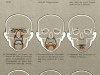 10 Ideias De Expressões Facias Expressões Faciais Desenho Expressões