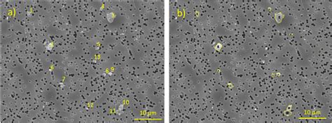 Figure 1 From Characterization Of Particle Size And Composition Of