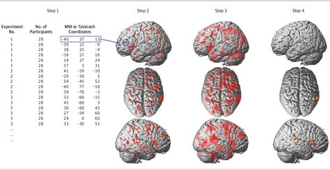 Figure 1 From Altered Brain Activity In Unipolar Depression Revisited Meta Analyses Of