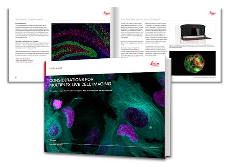 Considerations For Multiplex Live Cell Imaging Microscopy Focus