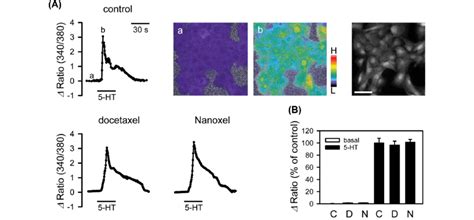 Effects Of Docetaxel And Nanoxel On The Ca 2 Signals In Vsmcs Download Scientific Diagram