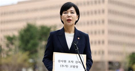전현희 정치 감사 철저히 수사해야감사원장 추가 고발