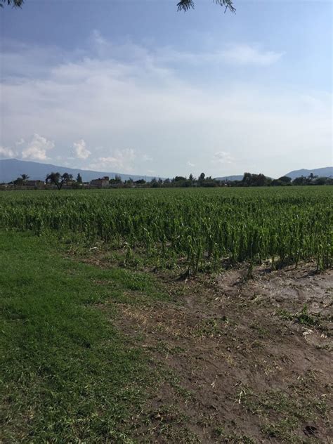 Terreno En Venta En Avconcepcion Concepcion Del Valle La Concha