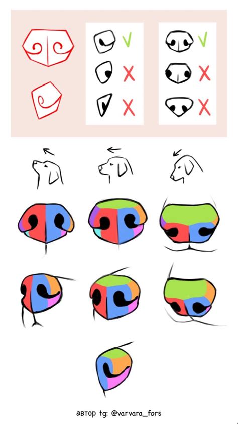 Как рисовать нос собаки Рисунки в стиле концепт арт Рисовать Рисовать животных