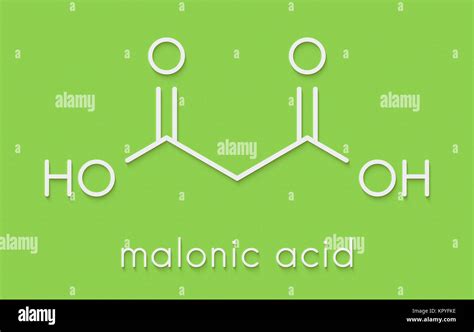 Malonic Acid Organic Dicarboxylic Acid Molecule Skeletal Formula Stock