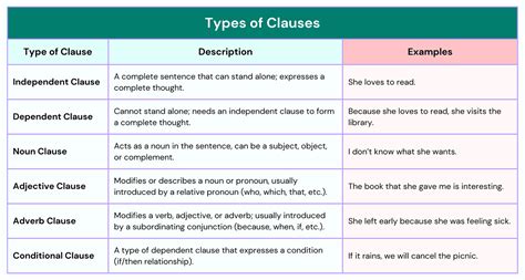 What Are Clauses Definition Types And Examples
