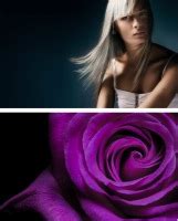 Fading Images In Photoshop Shutterstock