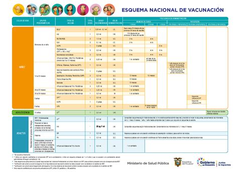 Esquema DE VacunacióN MSP CICLOS DE VIDA GRUPOS