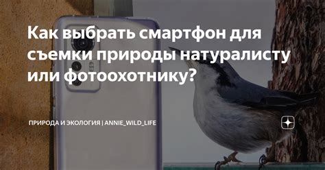 Как выбрать смартфон для съемки природы натуралисту или фотоохотнику
