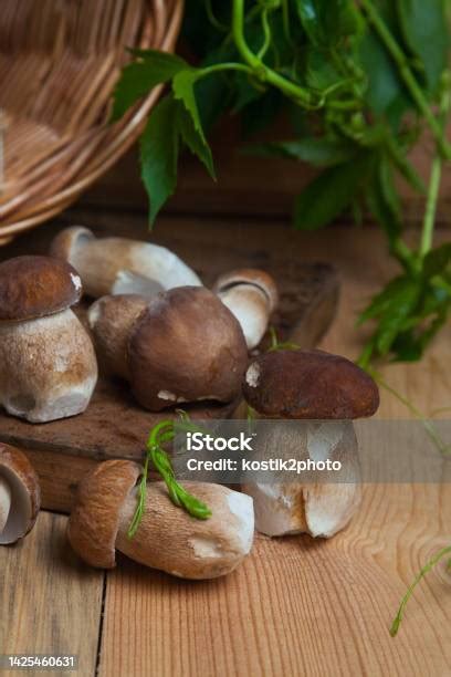 가을 계절에 나무 배경에 야생 Porcini 버섯 더미 중 아름다움이 가득한 포르시니 버섯에 선택적으로 초점을 맞 춥니 다 0