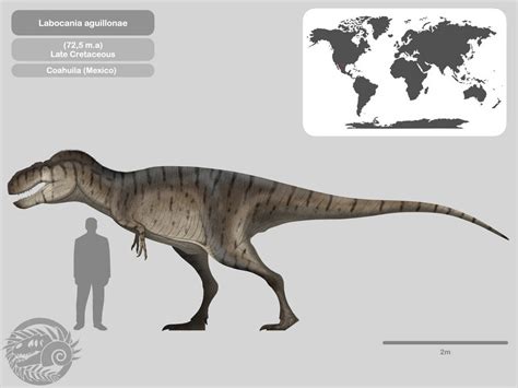 Perfil Labocania Aguillonae By Paleohistoric On Deviantart