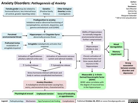 Anxiety Disorders Chart