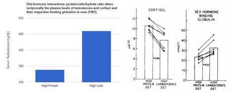 Protein And Testosterone Amino Acids And Hormones