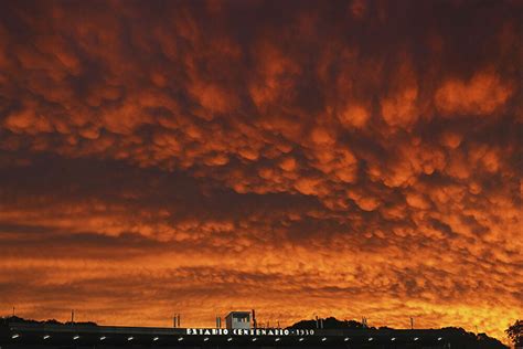 Лала Крамаренко