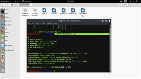 Perform Ddos Attack Using Torshammer Geeksforgeeks