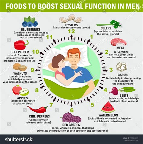 Food Boost Sexual Function Men Vector Stock Vector Royalty Free