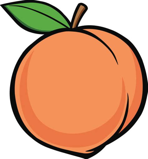 Royalty Free Peach Clip Art Vector Images And Illustrations Istock