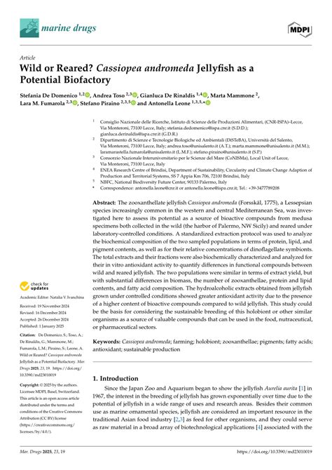 Pdf Wild Or Reared Cassiopea Andromeda Jellyfish As A Potential